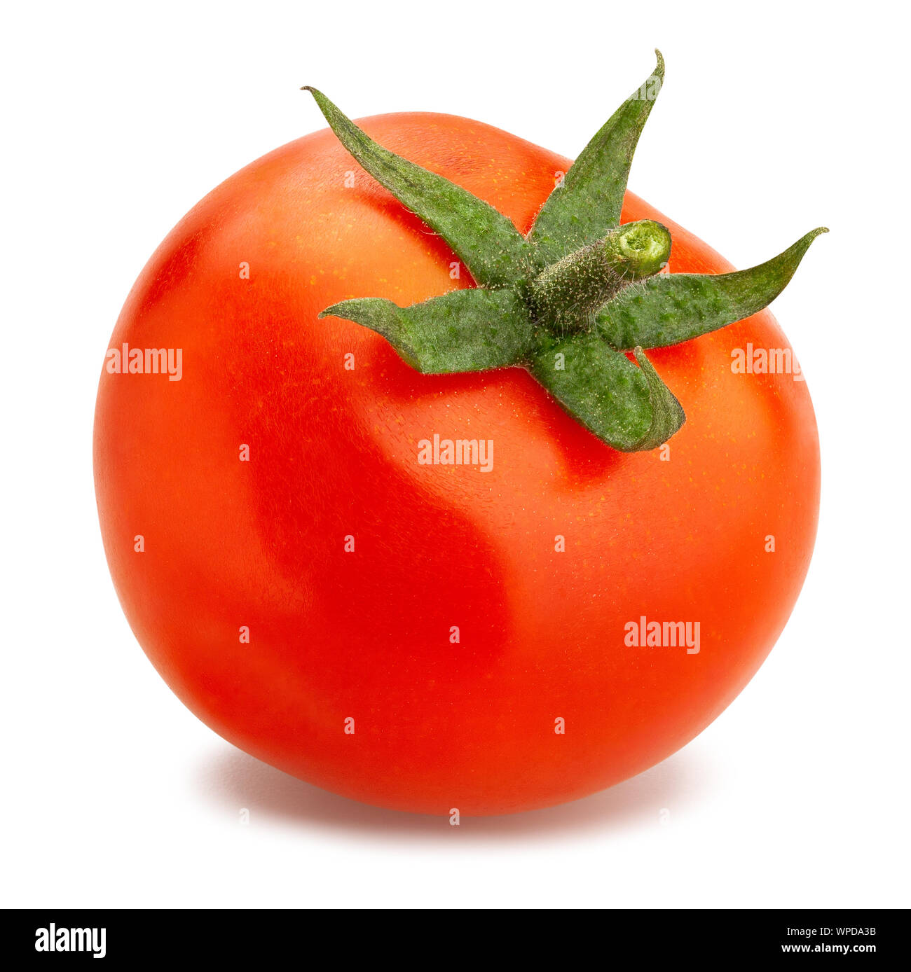 tomato path isolated on white Stock Photo - Alamy