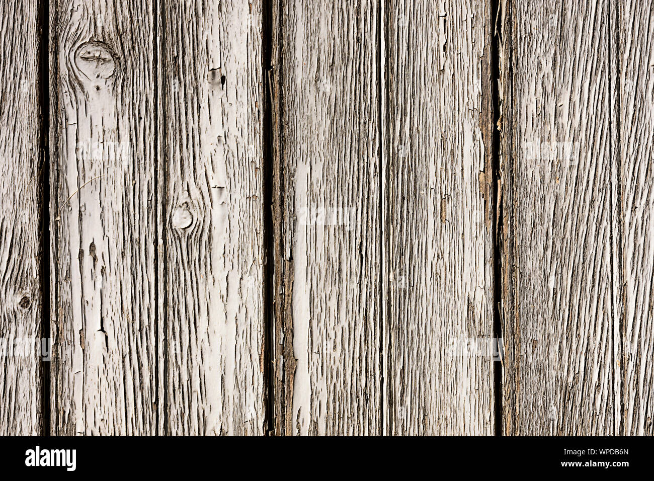 Textured wooden panel. Old door close-up in a rural village house. Wood ...