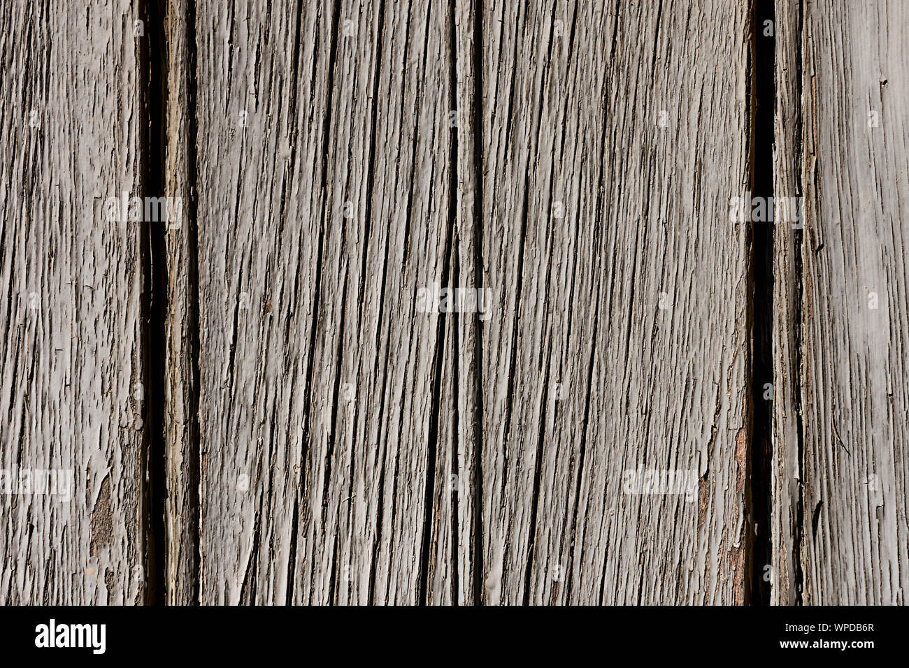 Textured wooden panel. Old door close-up in a rural village house. Wood ...