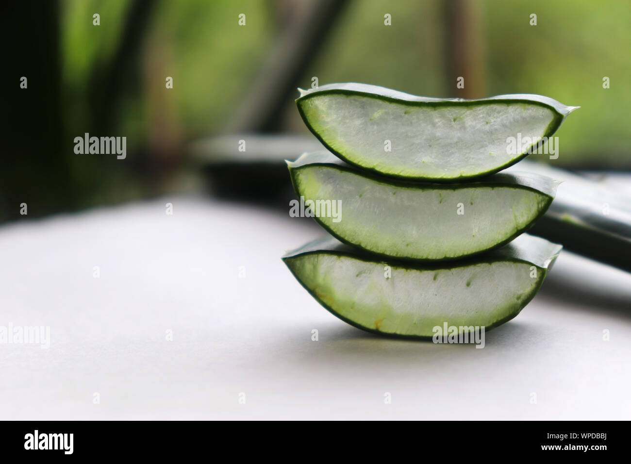 Aloe Vera Plant Leaf Stock Photo - Alamy
