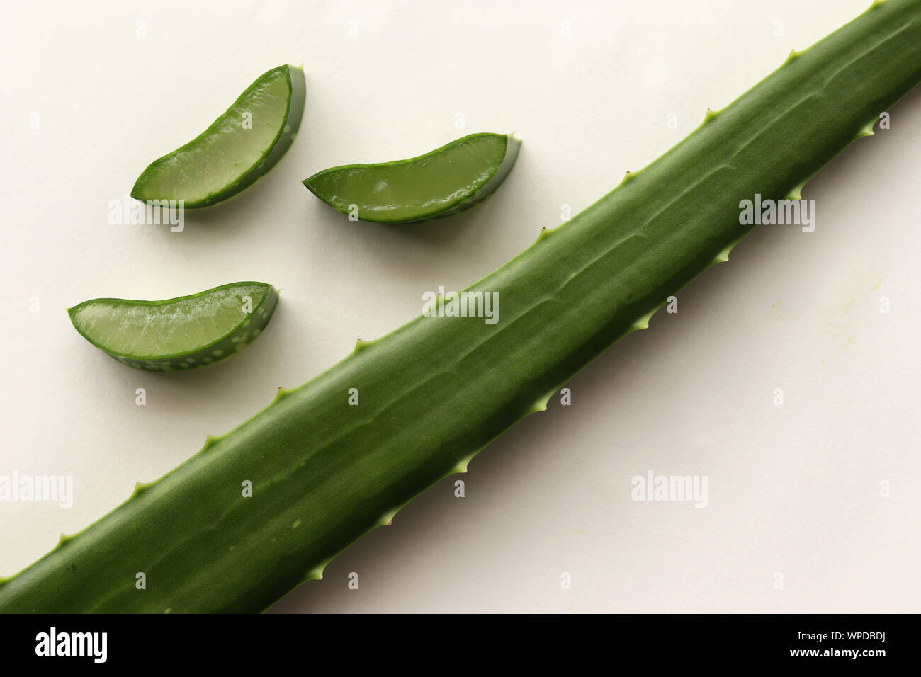 Aloe Vera Plant Leaf Stock Photo - Alamy