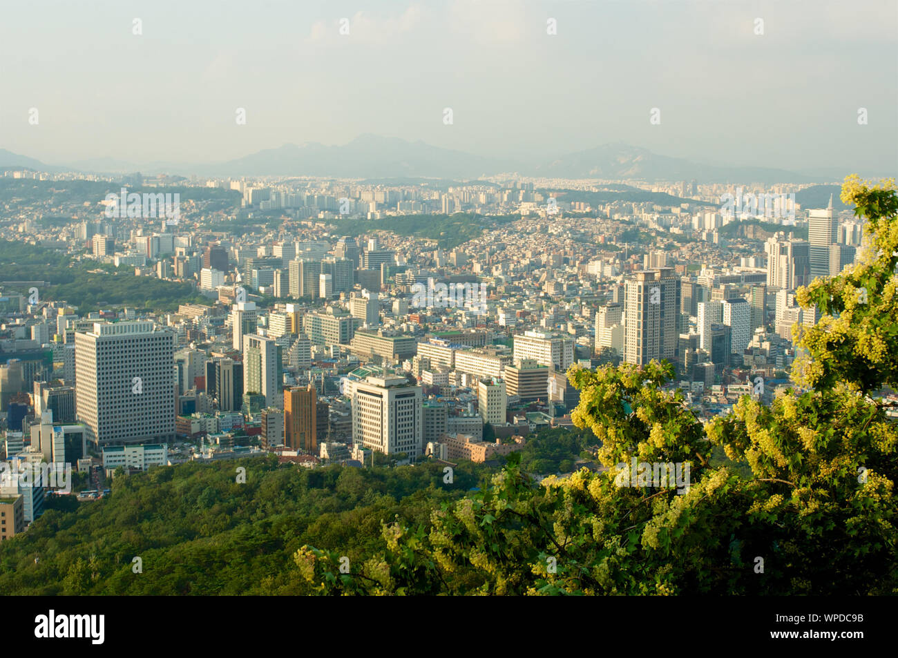 Seoul city street view from top in summer in Korea Stock Photo - Alamy