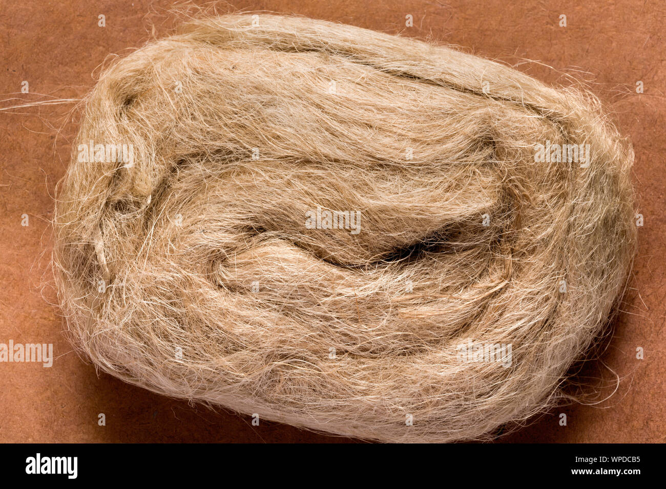 Raw flax as it is used in paper industry and for making linen cloth ...