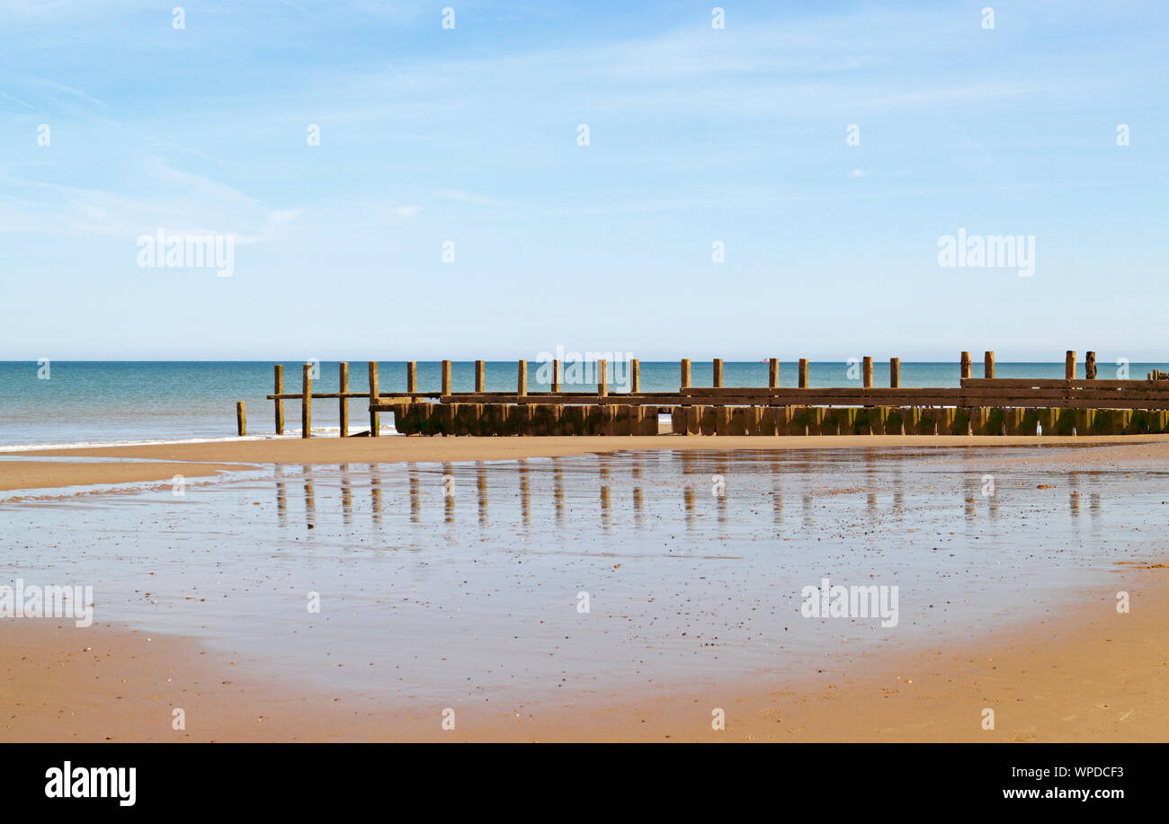Coastal environment timber hi-res stock photography and images - Alamy