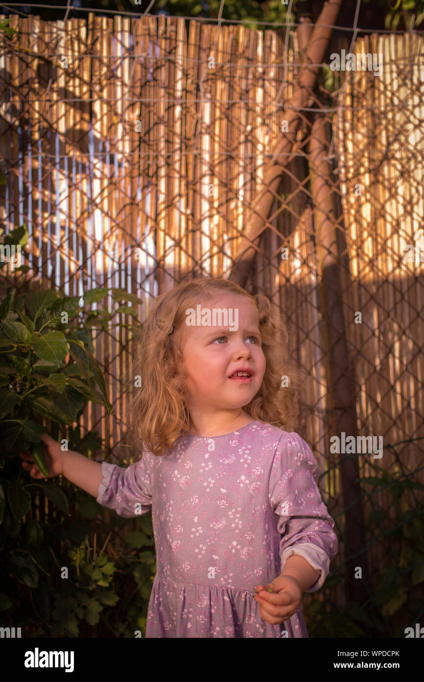 Portrait at golden hour hi-res stock photography and images - Alamy
