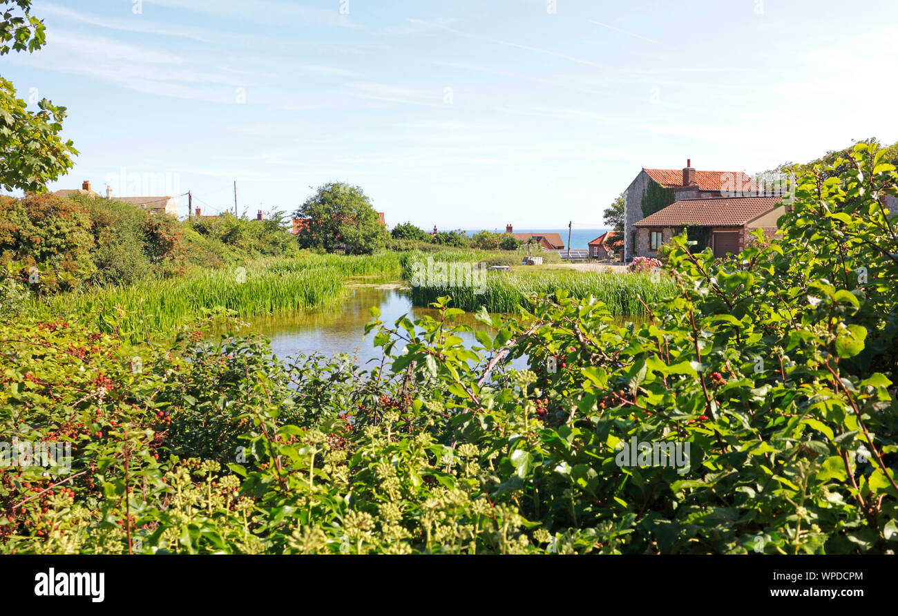 A view of the old mill pool at Mundesley, Norfolk, England, United ...