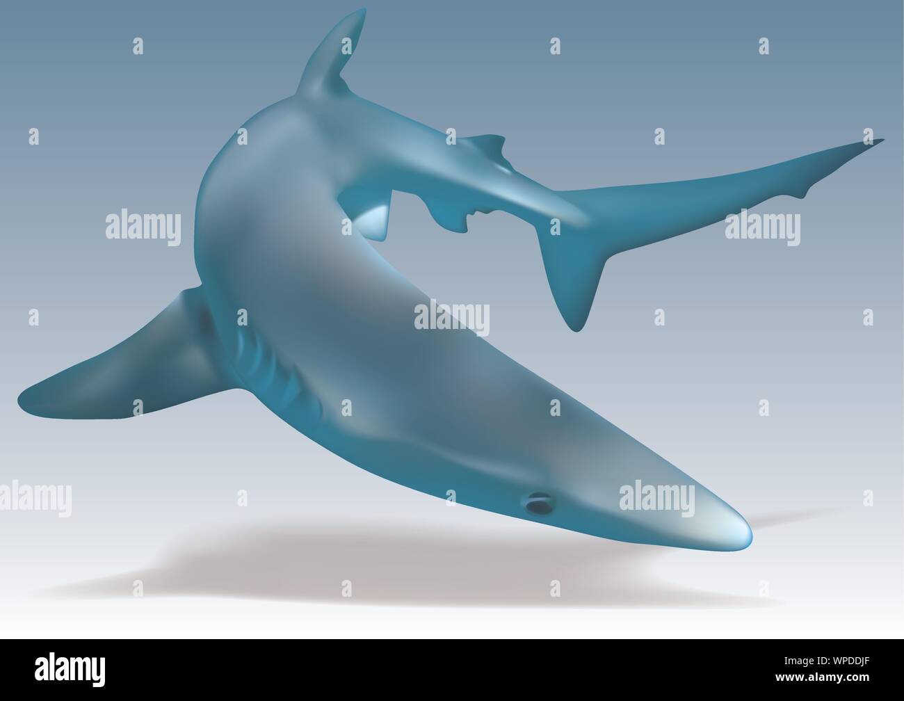 Shark with prey Stock Vector Images - Alamy
