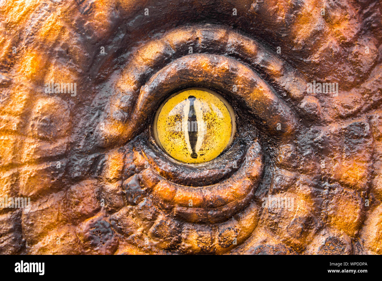 Dinosaur hunters are staring with horrible yellow eyes Stock Photo - Alamy