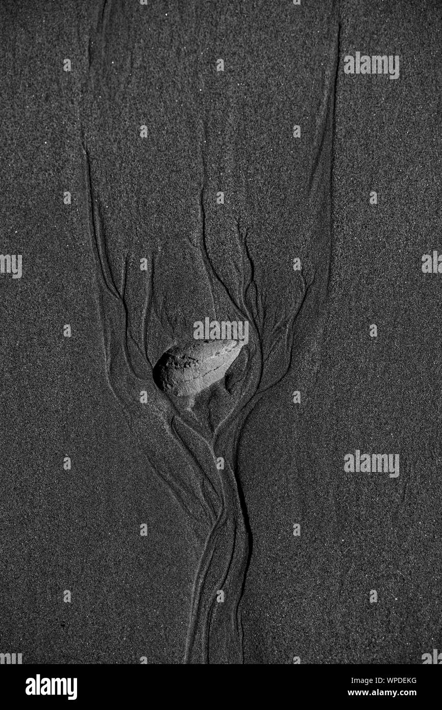 Dendrite patterns Black and White Stock Photos & Images - Alamy