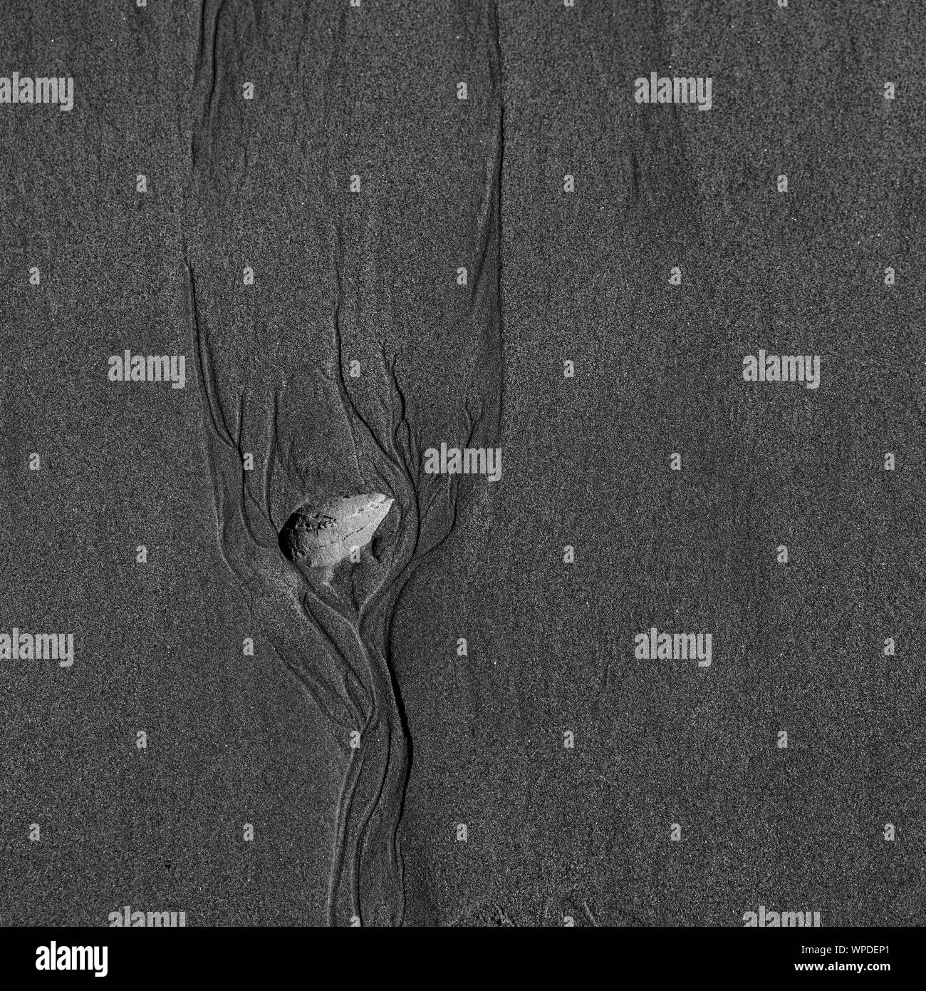 Dendrite patterns looking like cupped hands, made by water flowing ...