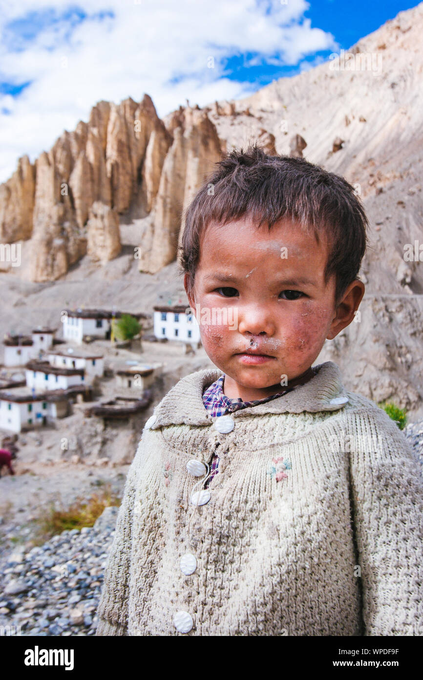 Mountain donkey in ladakh india hi-res stock photography and images - Alamy