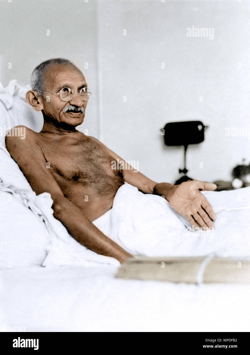 Jay 271606 hi-res stock photography and images - Alamy