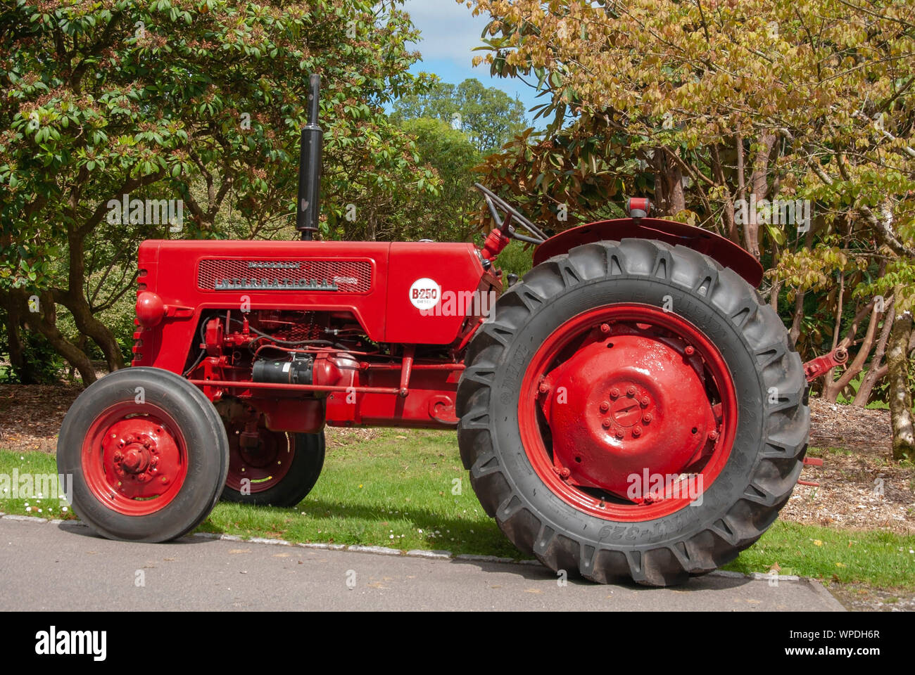 Stuart mccormick hi-res stock photography and images - Alamy