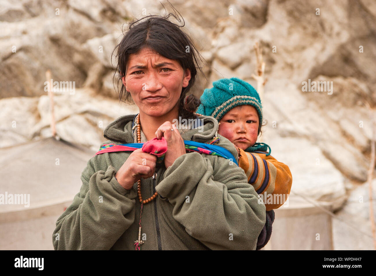 Mountain donkey in ladakh india hi-res stock photography and images - Alamy