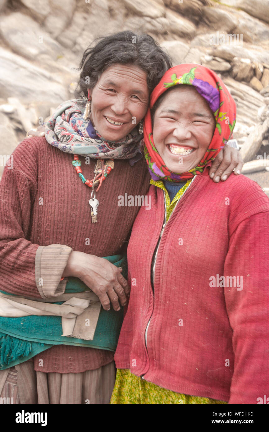 Mountain donkey in ladakh india hi-res stock photography and images - Alamy