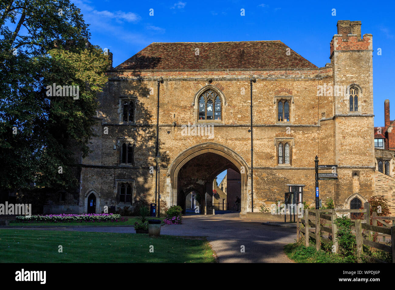 Ely Cathedral and town centre cambridgeshire east anglia england uk gb ...