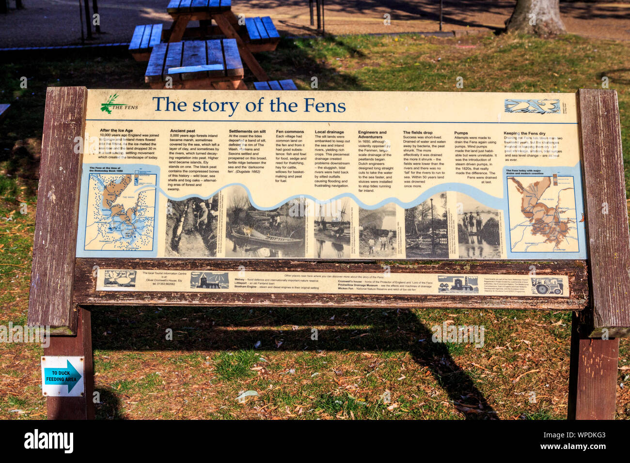story of the fens plaque,Ely Cathedral and town centre cambridgeshire ...