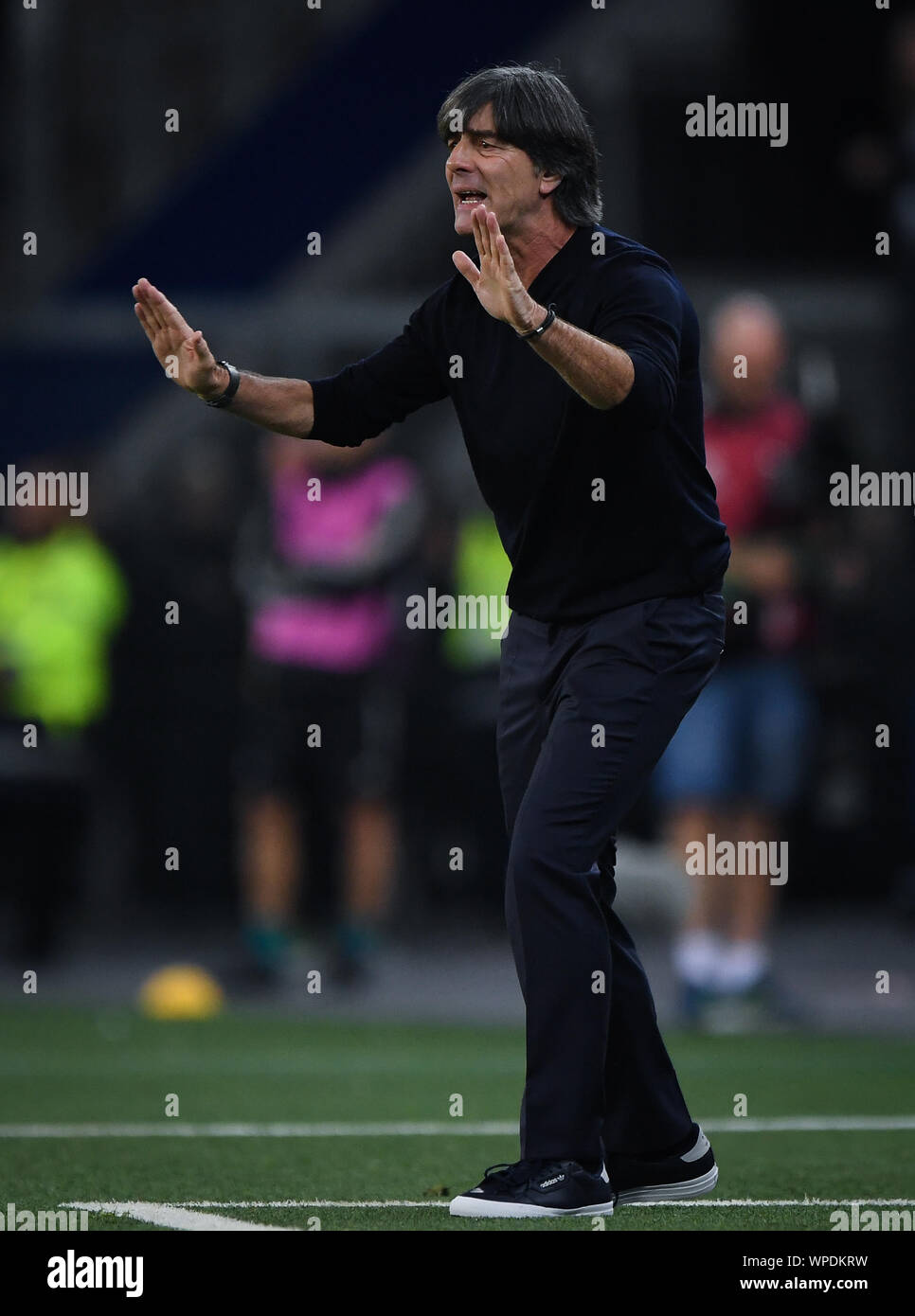 Coach / Bundescoach Joachim Jogi Loew (Germany). GES / Fussball / EM ...