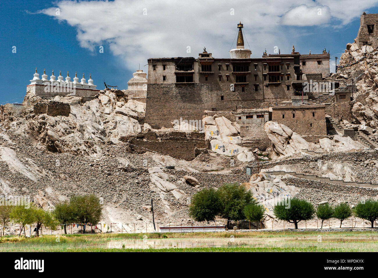 Life ling learning hi-res stock photography and images - Alamy