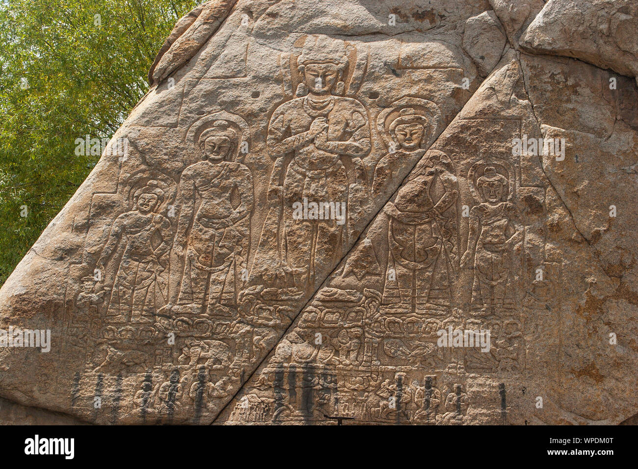Himalayan camel hi-res stock photography and images - Alamy
