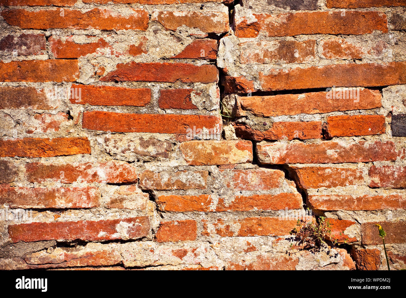 Deep fissured hi-res stock photography and images - Alamy