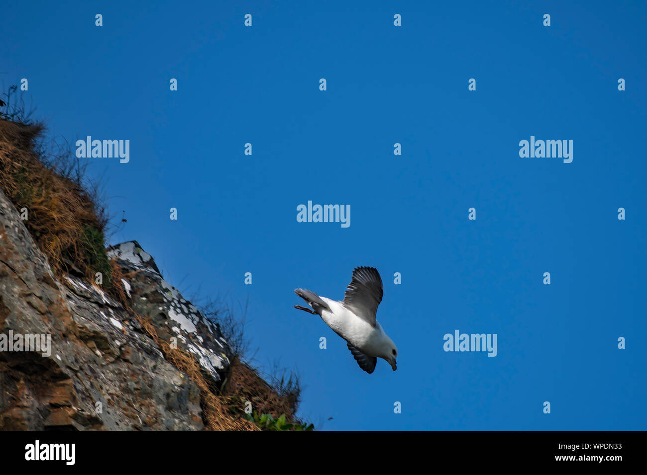 Steep cliff edge hi-res stock photography and images - Alamy