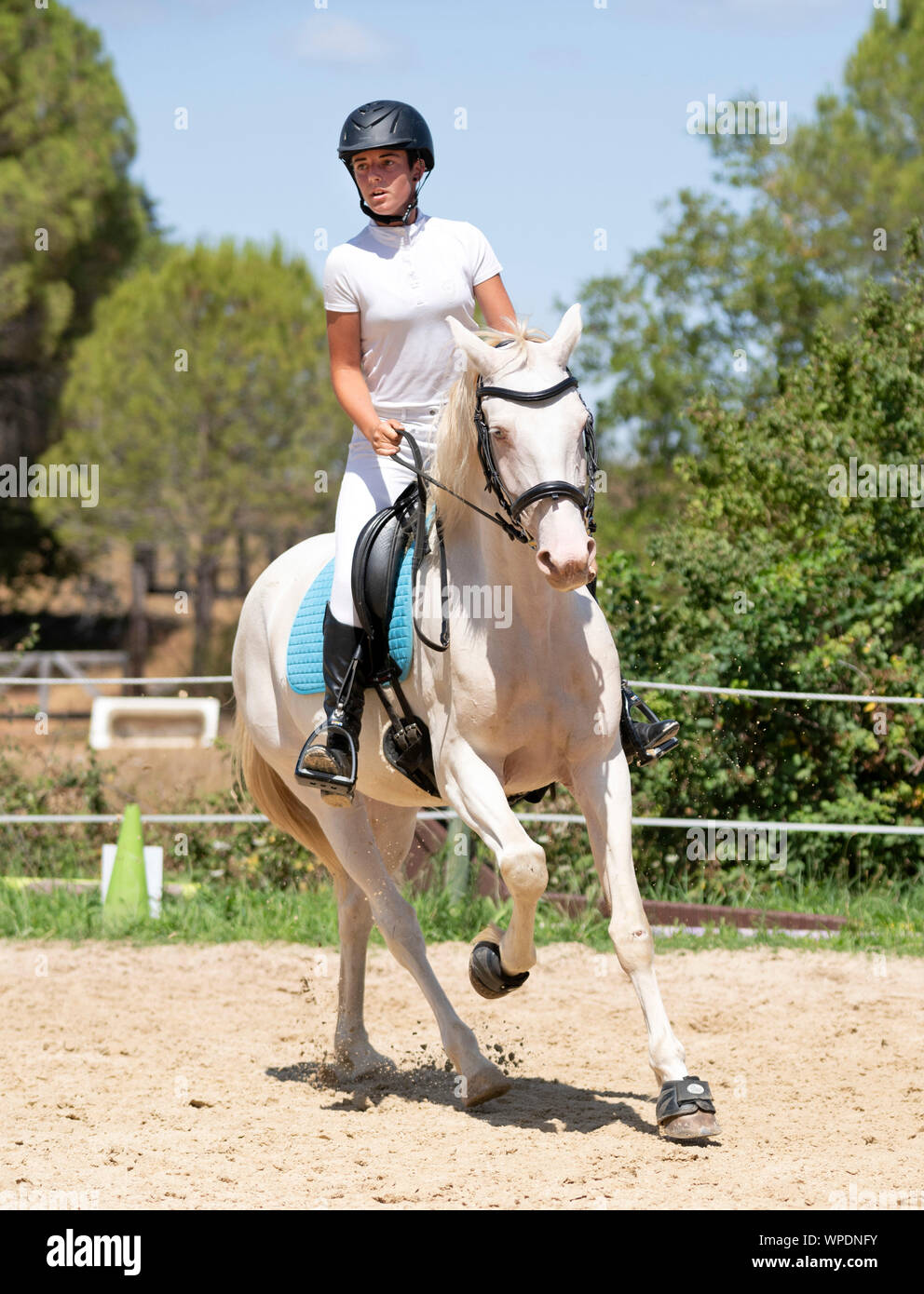 riding girl are training her young horse Stock Photo - Alamy
