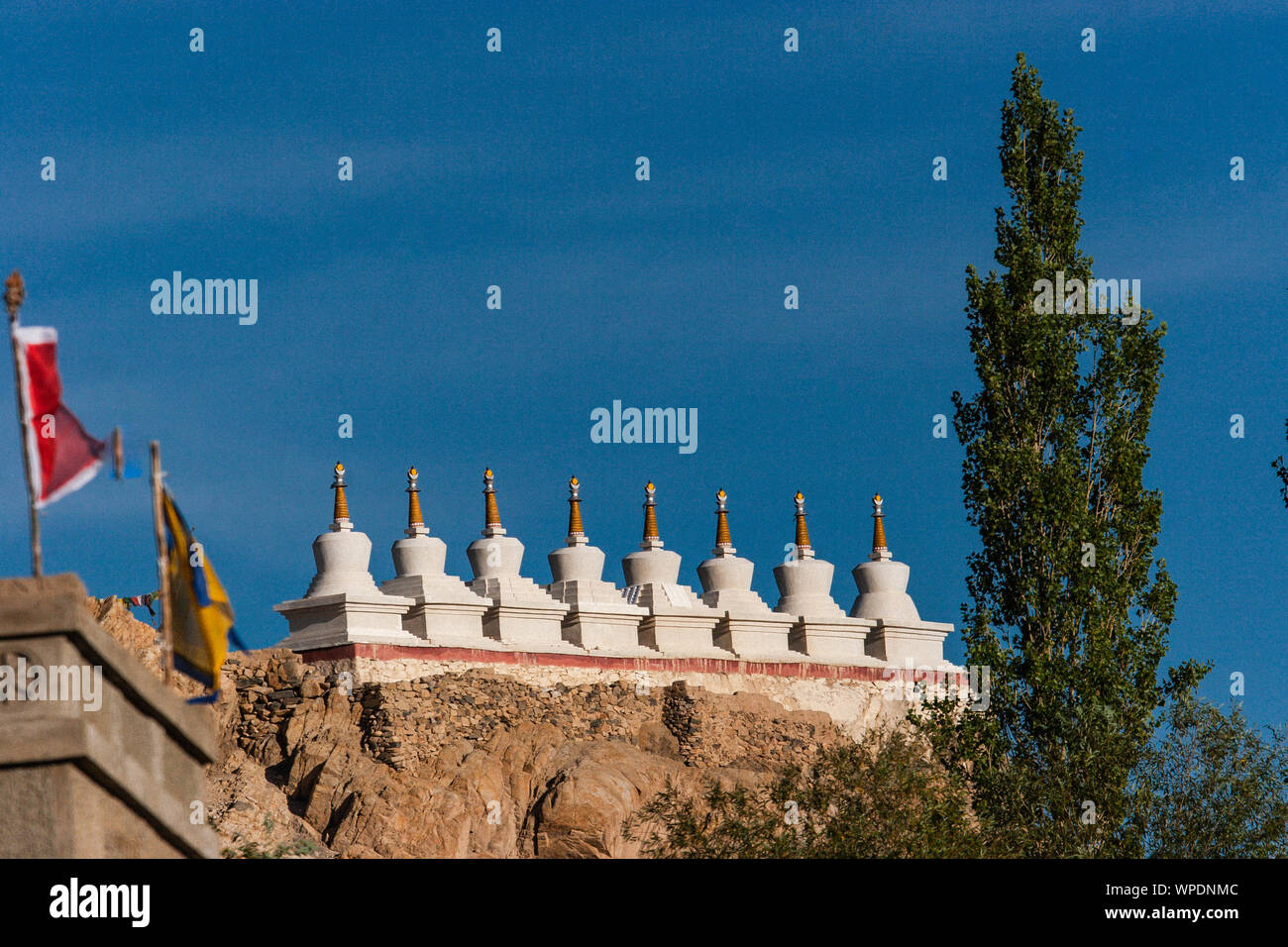 Life ling learning hi-res stock photography and images - Alamy