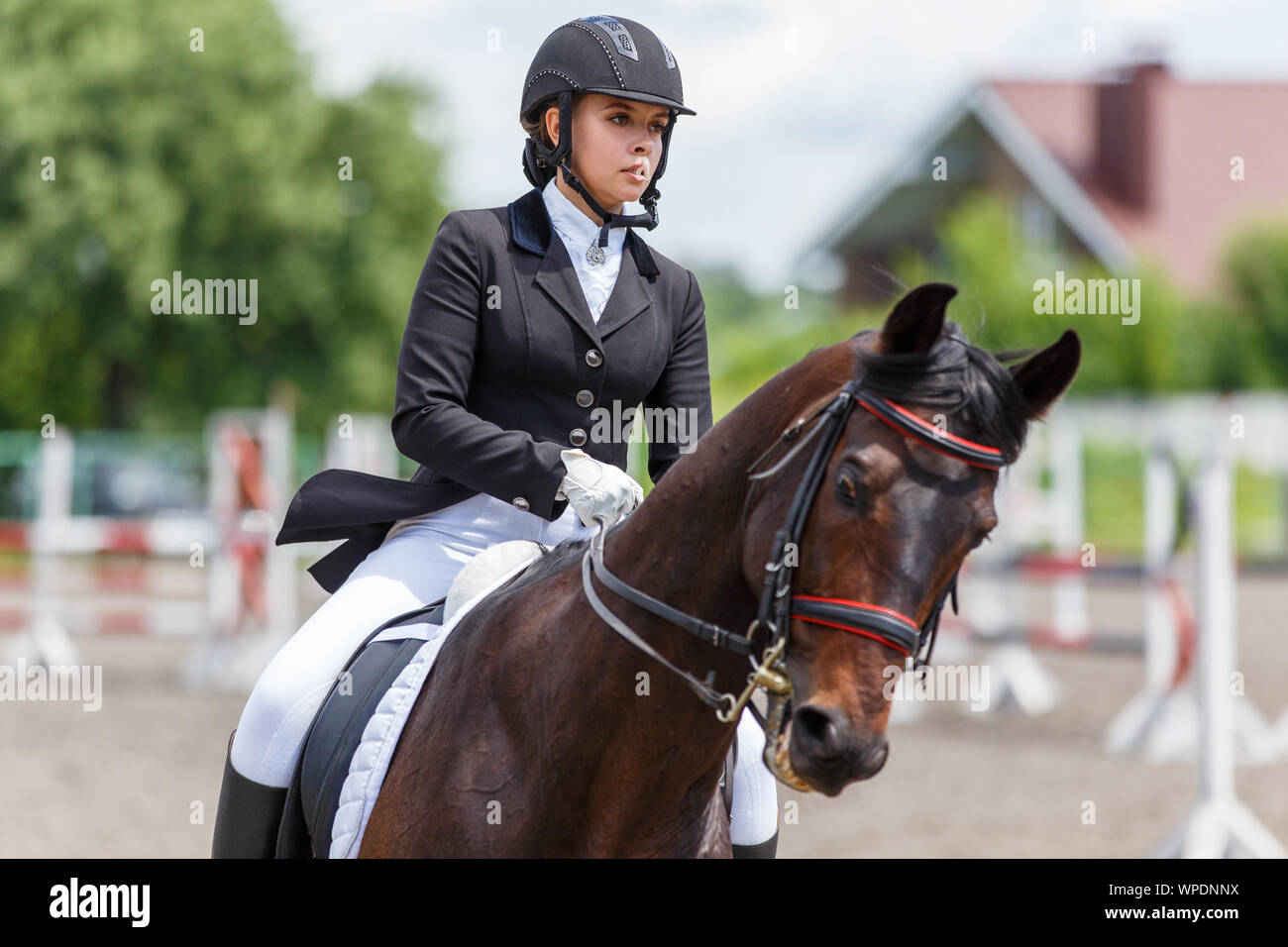 Young female horse rider on equestrian sport competition Stock Photo ...