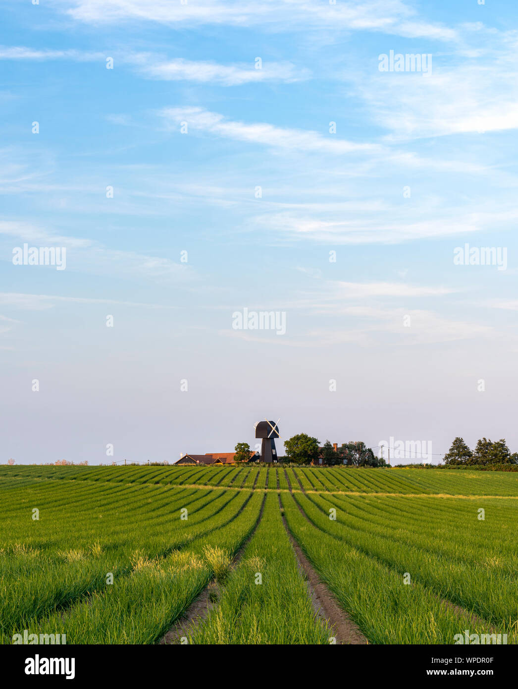 Chislet windmill hi-res stock photography and images - Alamy