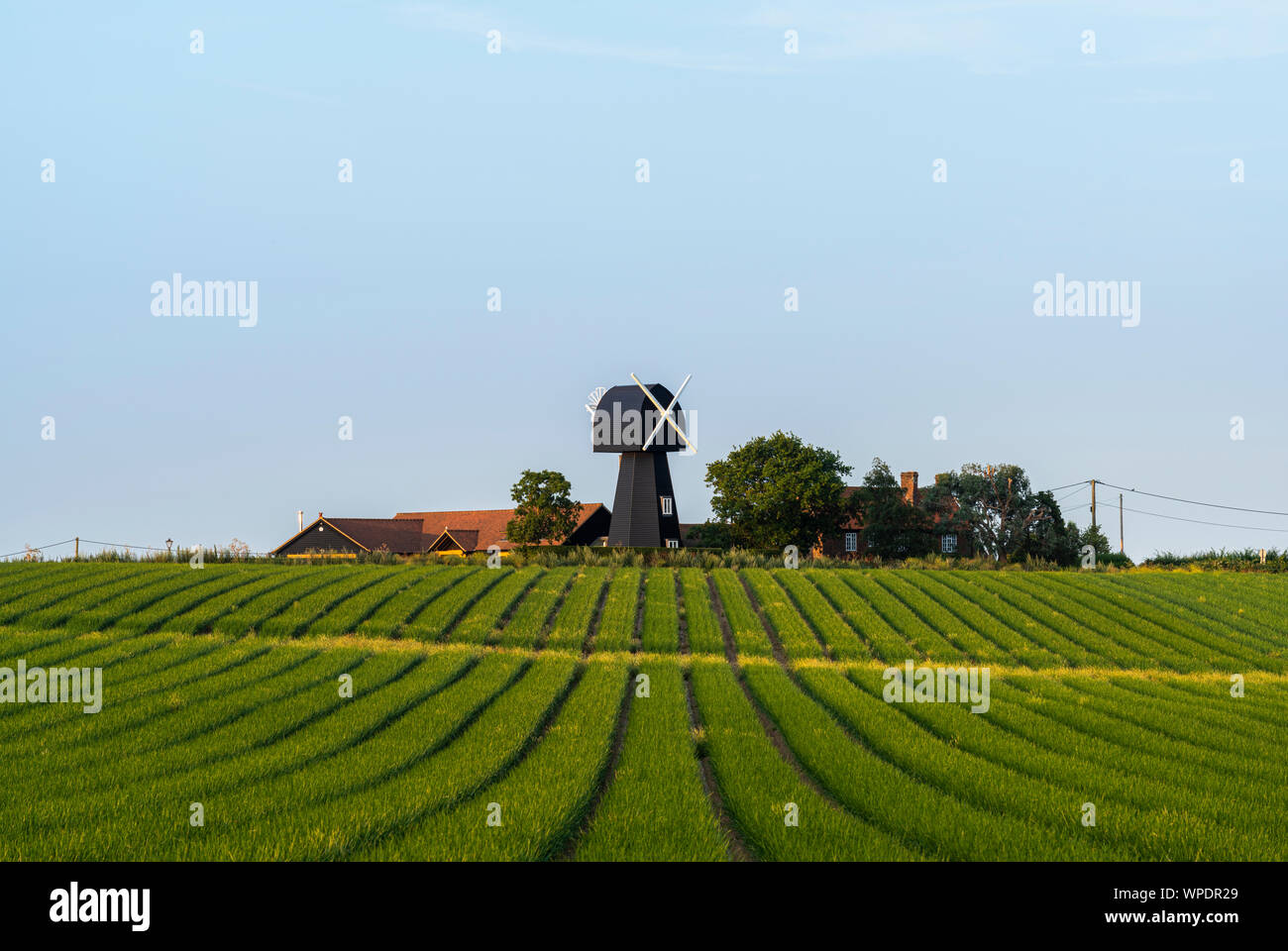 Herne windmill kent england hi-res stock photography and images - Alamy