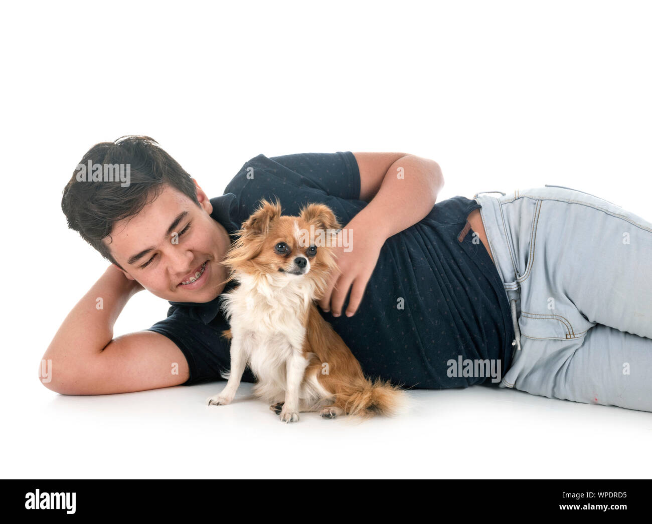 little chihuahua and owner in front of white background Stock Photo - Alamy
