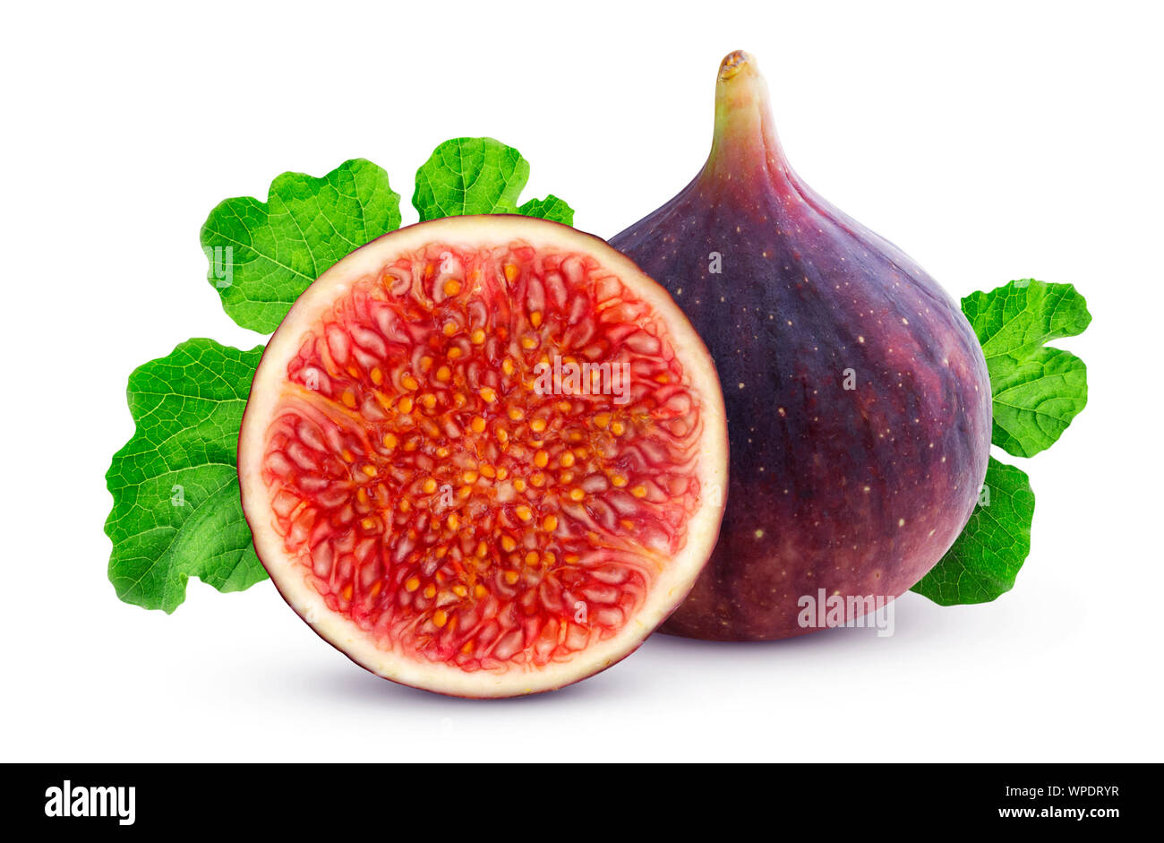 Fig cross section hi-res stock photography and images - Alamy