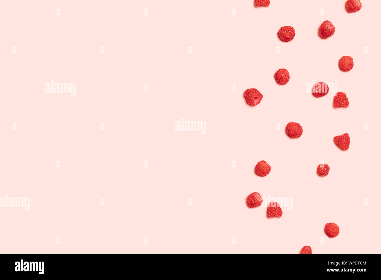 Creative minimalism pattern of raspberry on pink background. Flat lay ...