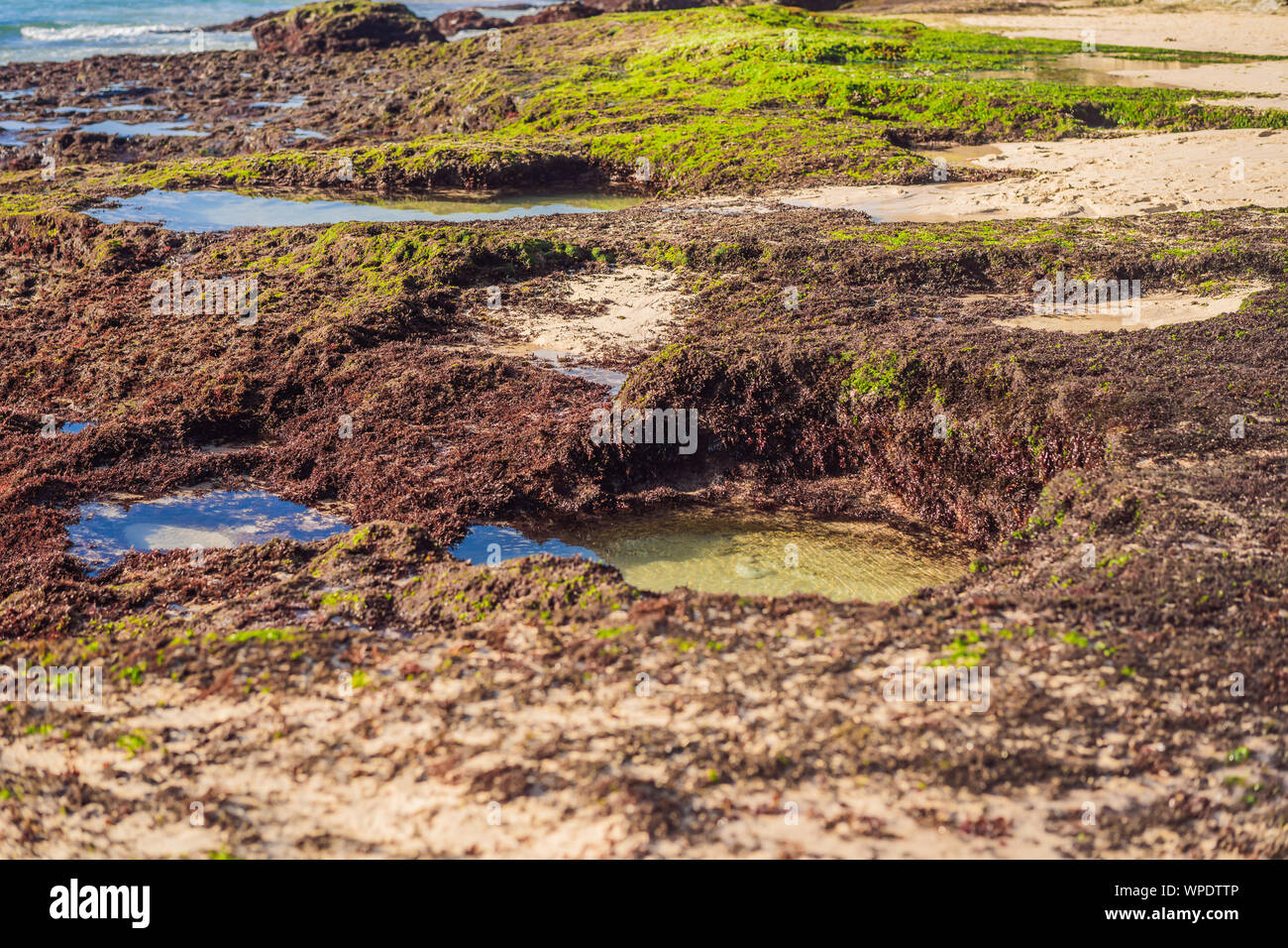 Pantai Tegal Wangi Beach, Bali Island, Indonesia Stock Photo - Alamy