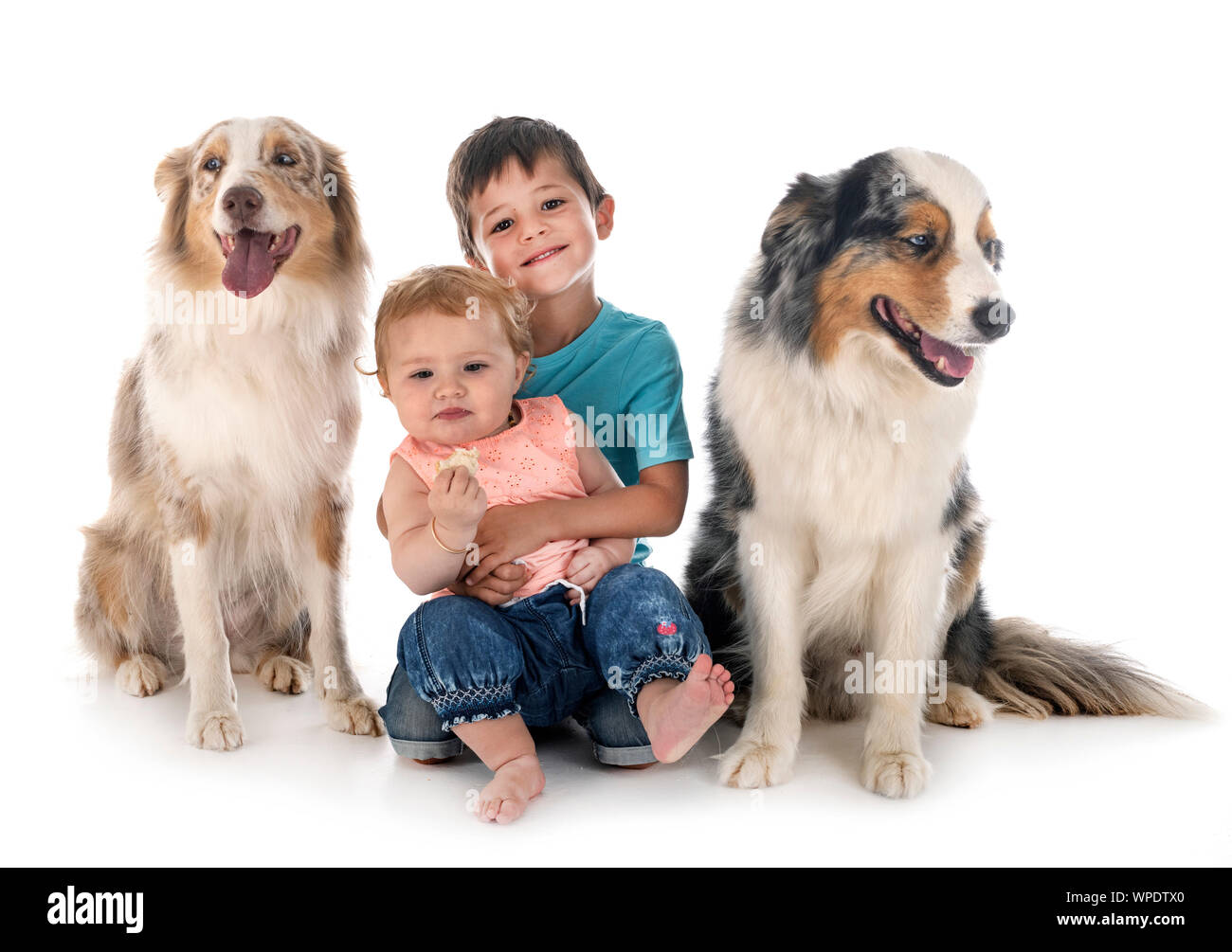child and dogs in font of white background Stock Photo - Alamy