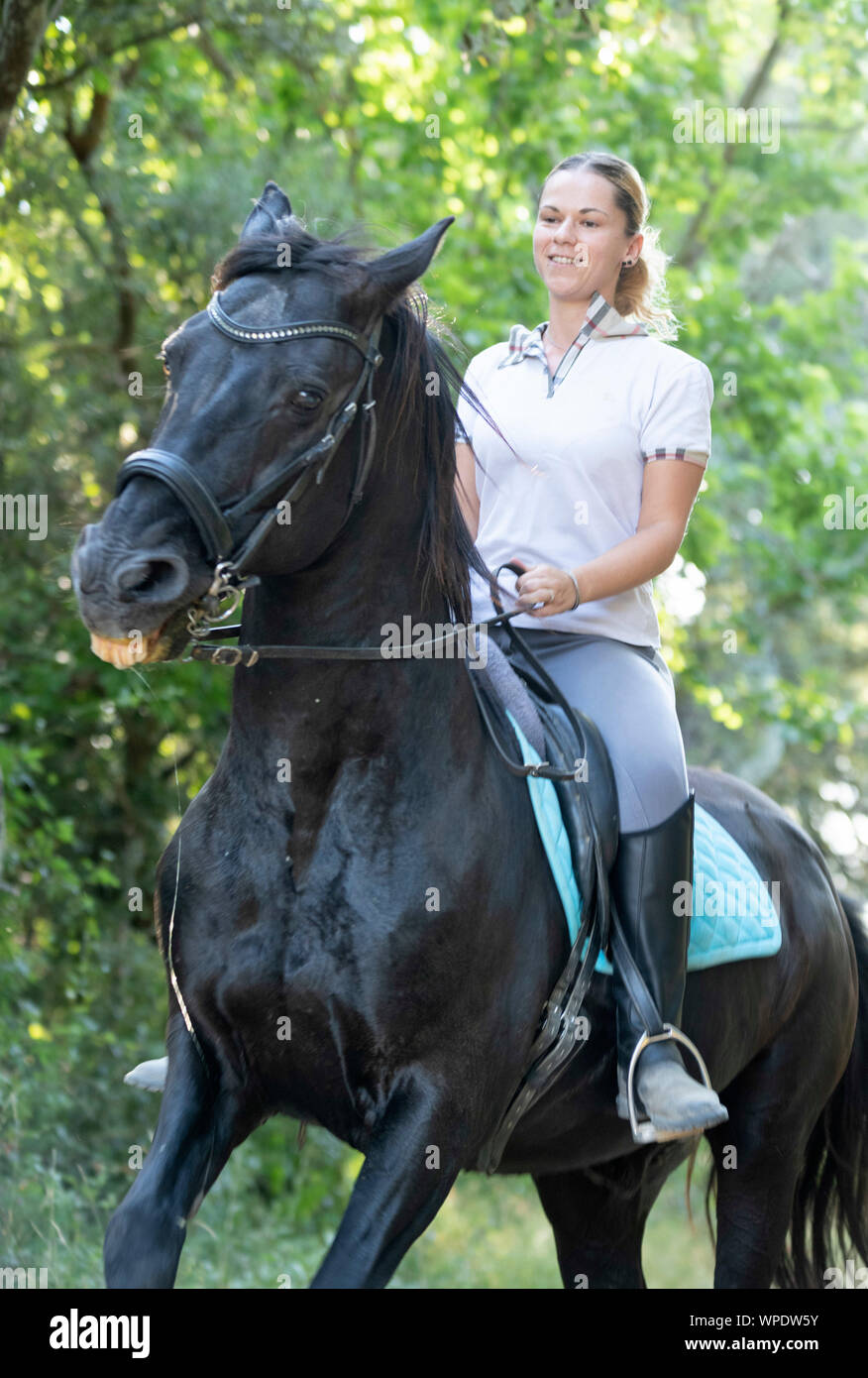 riding girl are training her black horse Stock Photo - Alamy