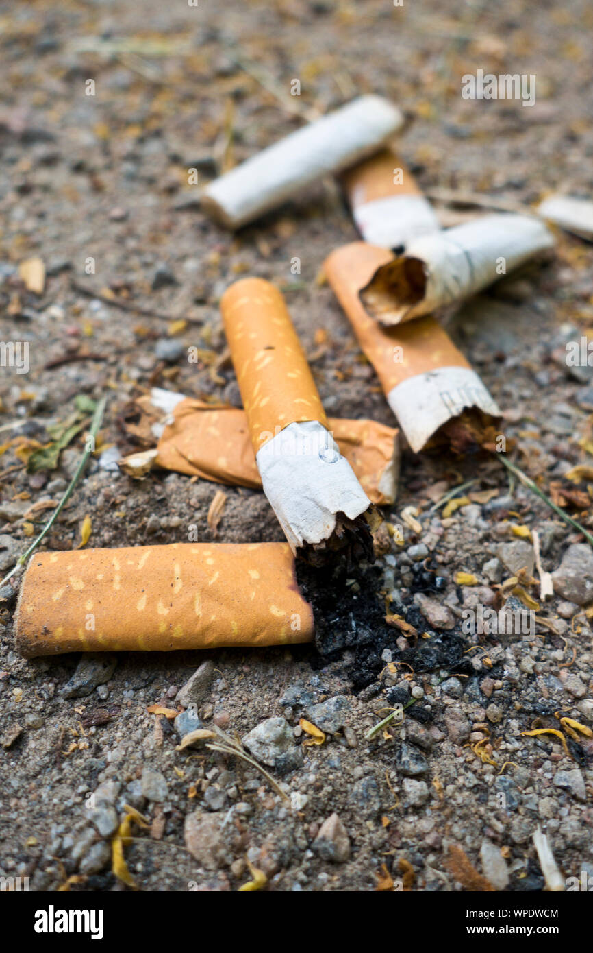 smoked cigarettes abandoned in the street Stock Photo - Alamy