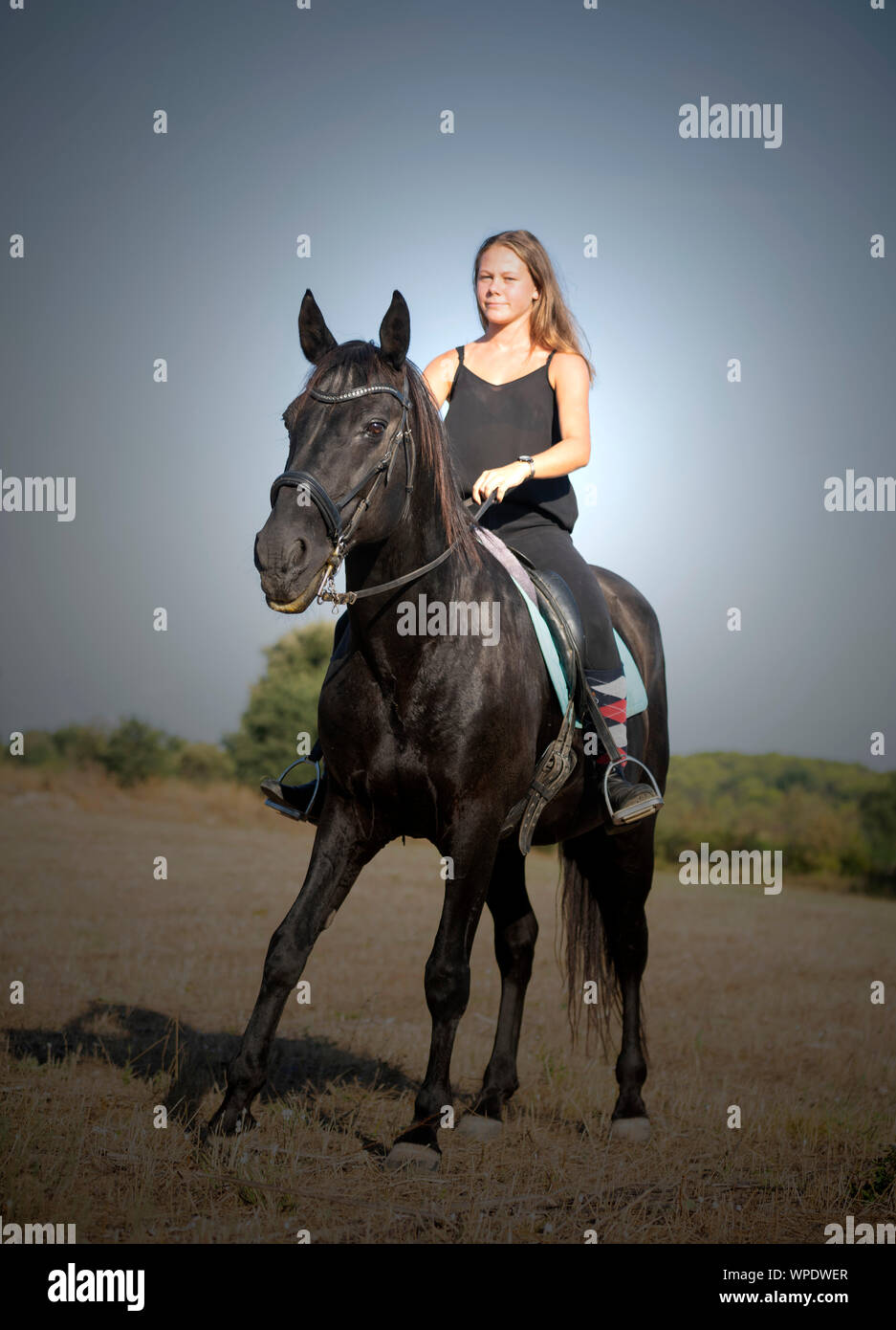 riding girl are training her black horse Stock Photo - Alamy
