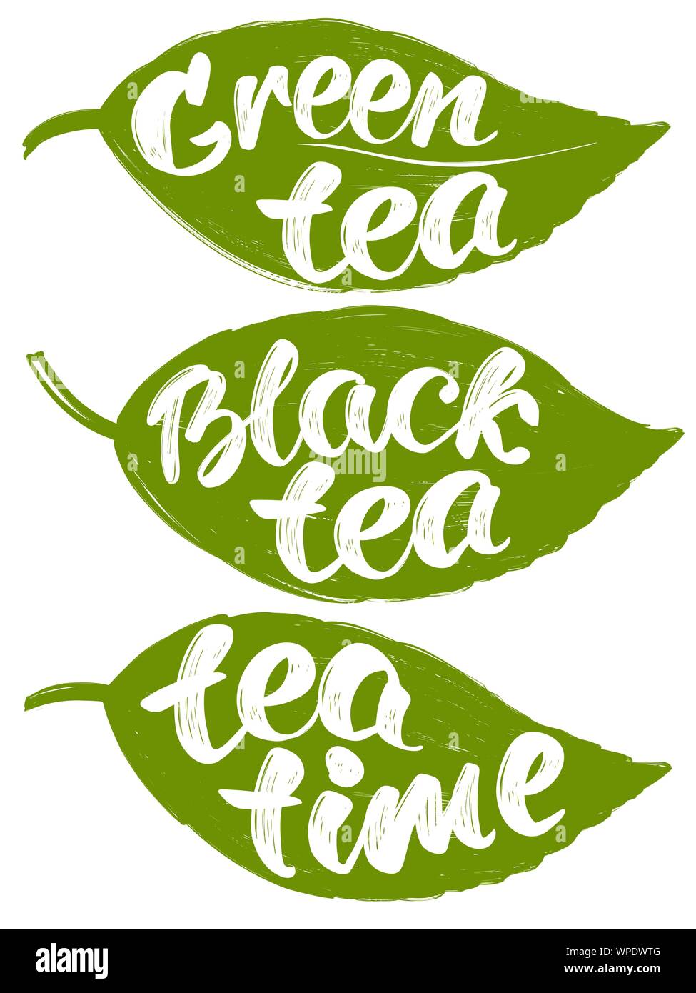 collection with label tea leaves isolated on white background hand ...