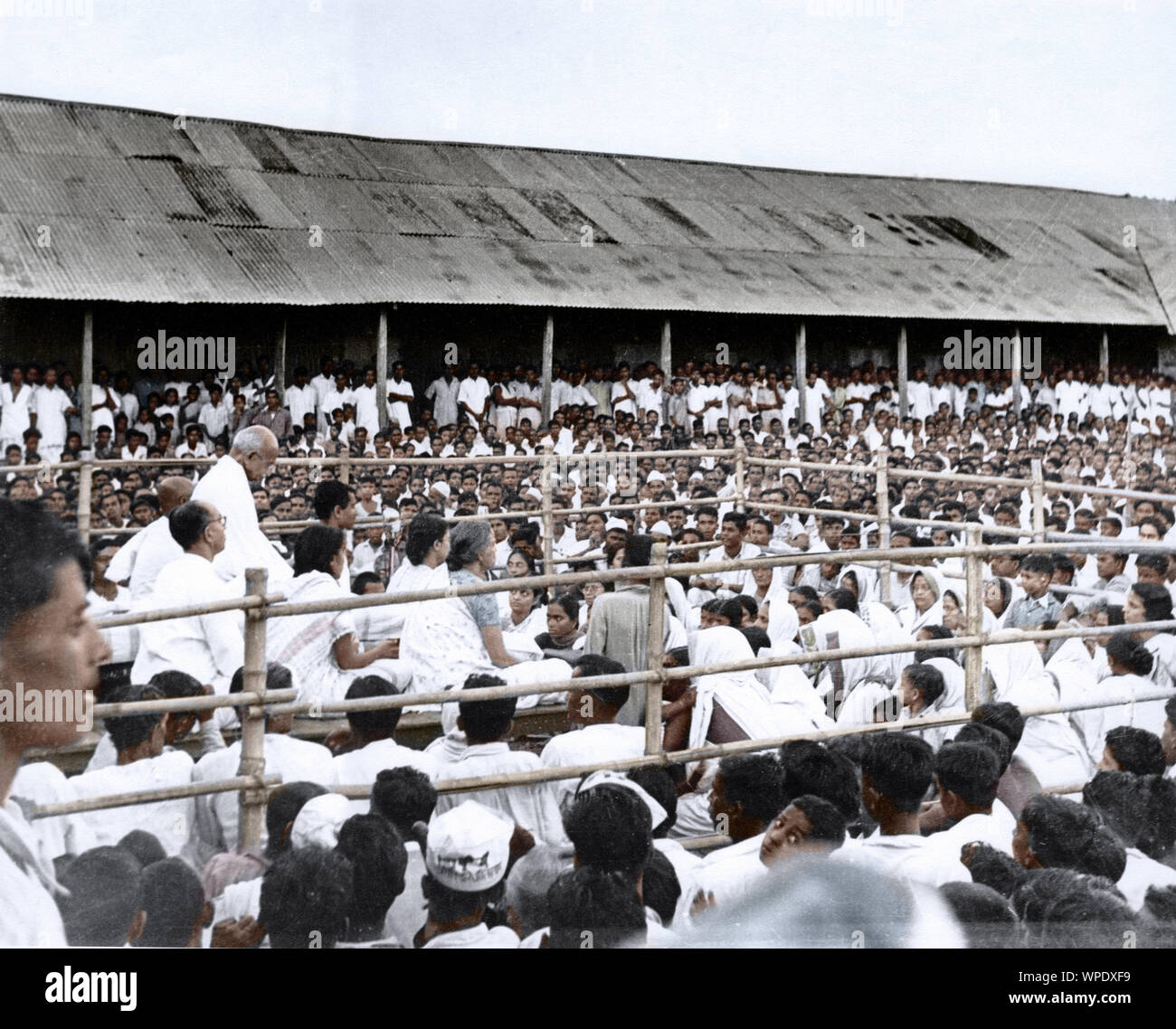 Jay 271966 hi-res stock photography and images - Alamy