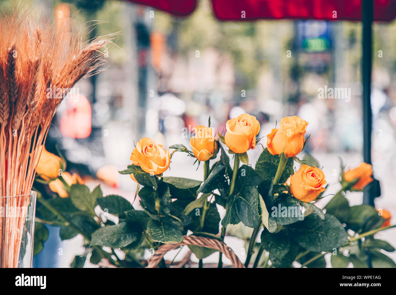 Diada de Sant Jordi in Barcelona, Catalonia, Spain Stock Photo - Alamy