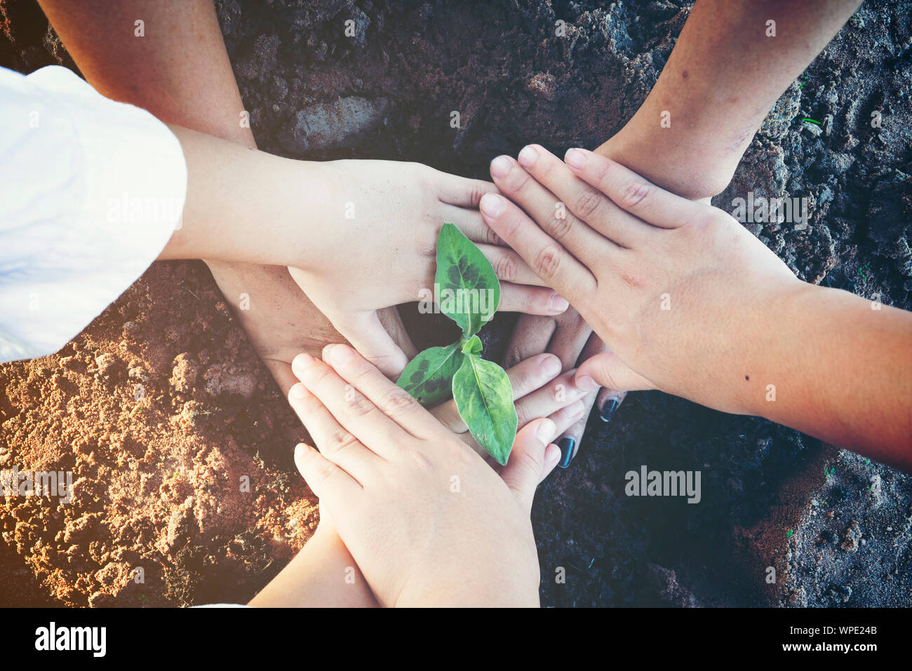Hands holding small tree ,Save world concept Stock Photo - Alamy