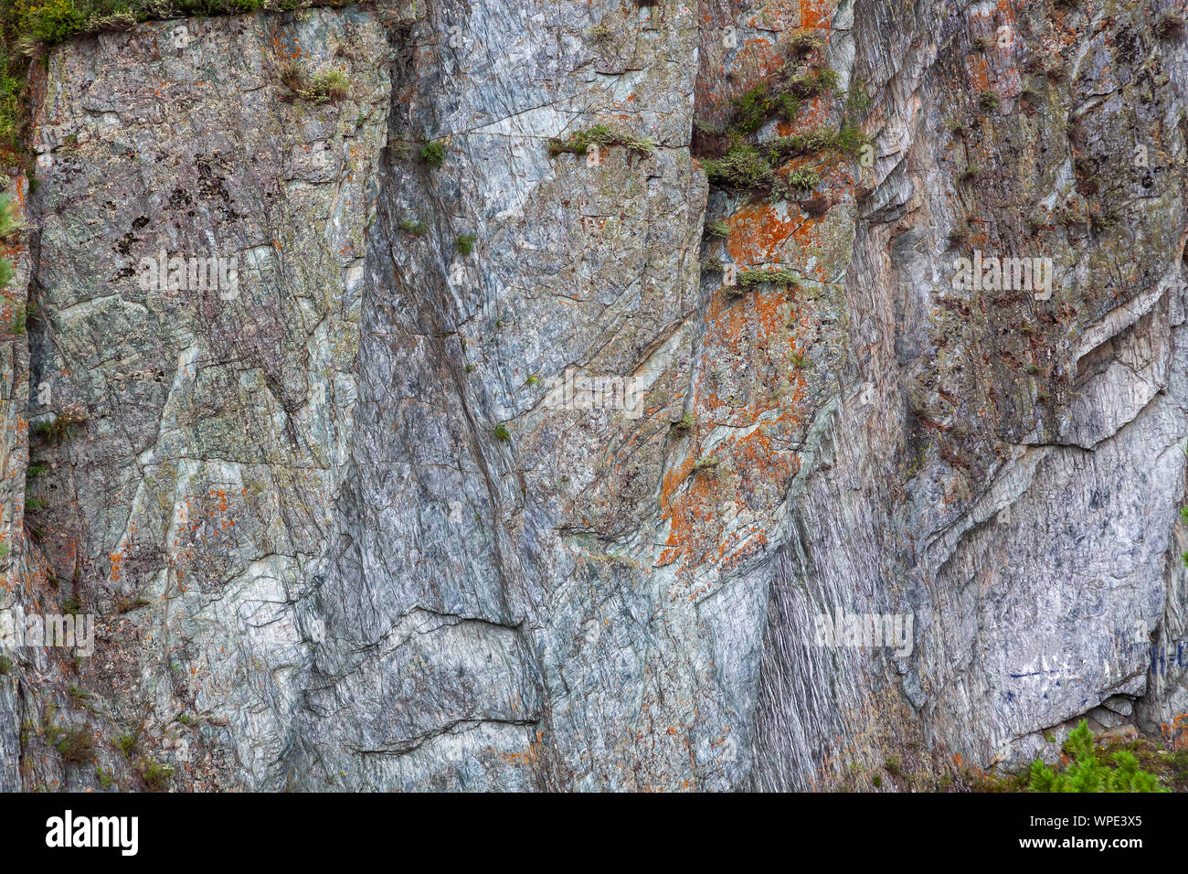 Background texture of a gray brown stone on the rock of the mountain ...