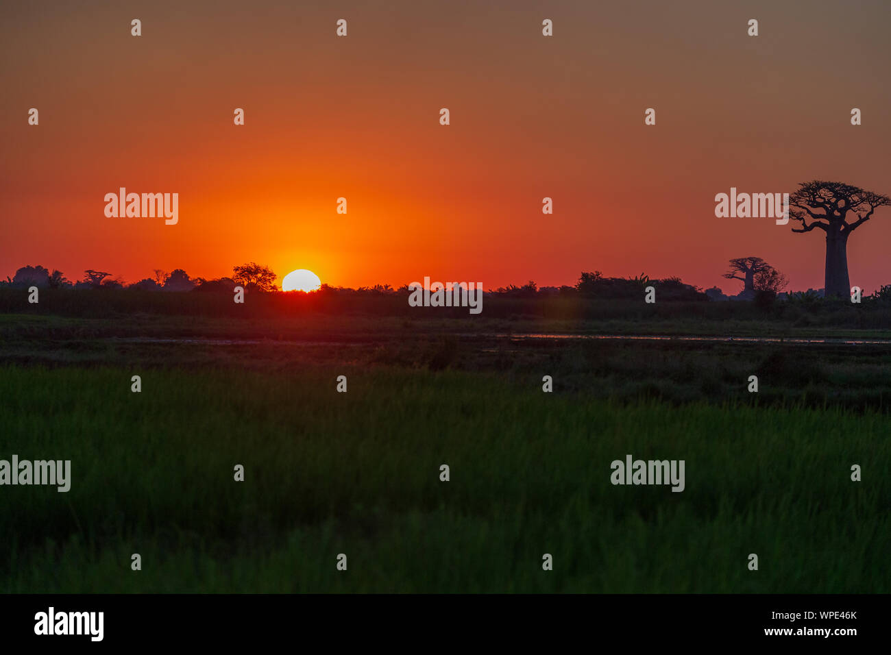 A magnificent sunset with Baobabs, Madagascar Stock Photo - Alamy