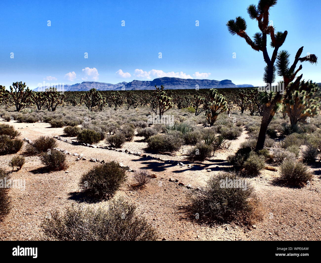Death valley landscapes hi-res stock photography and images - Alamy