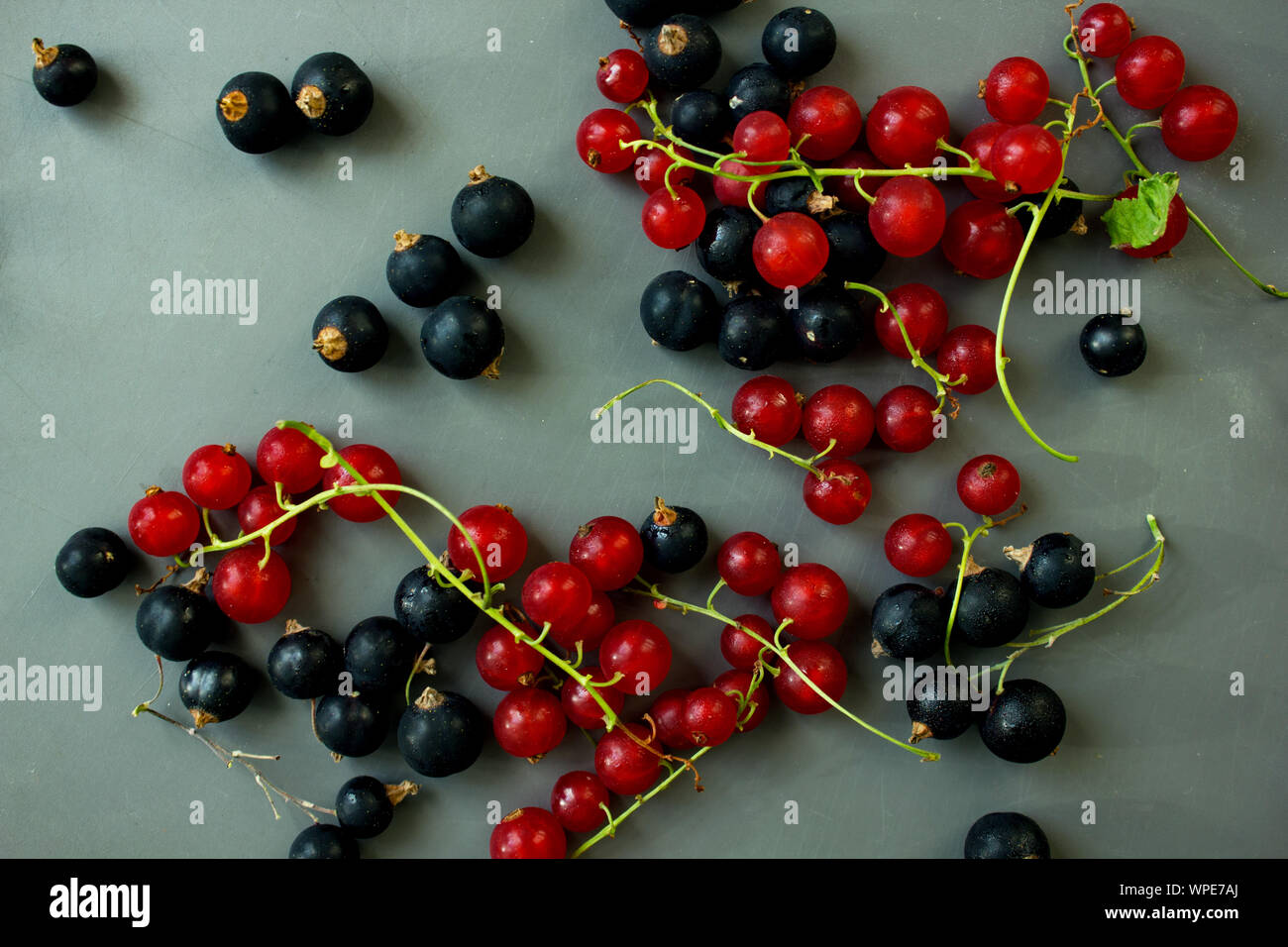 Redcurrant collection hi-res stock photography and images - Alamy