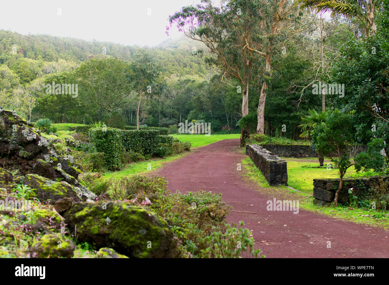 Blue mountains botanical garden hi-res stock photography and images - Alamy