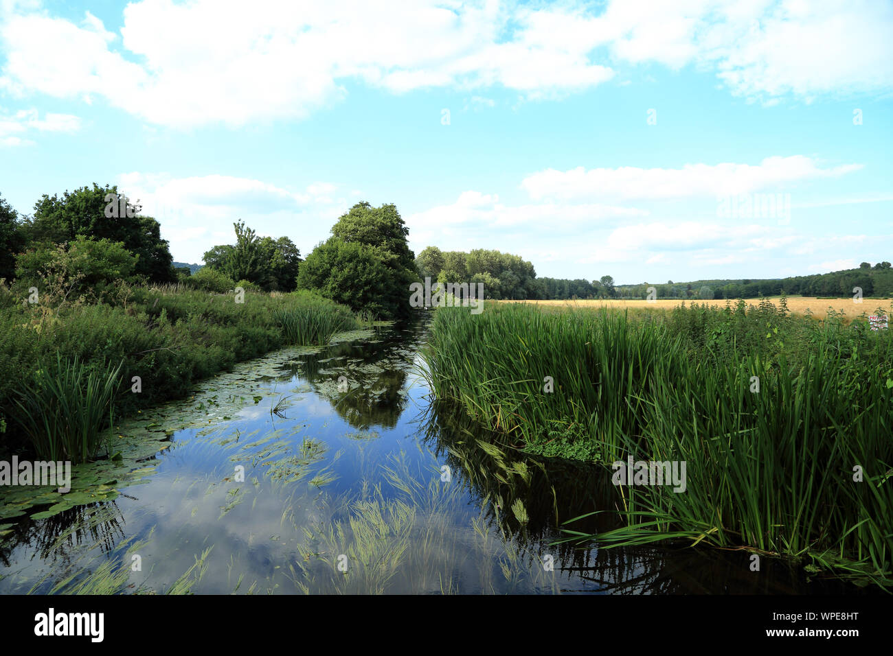 The great stour way hi-res stock photography and images - Alamy