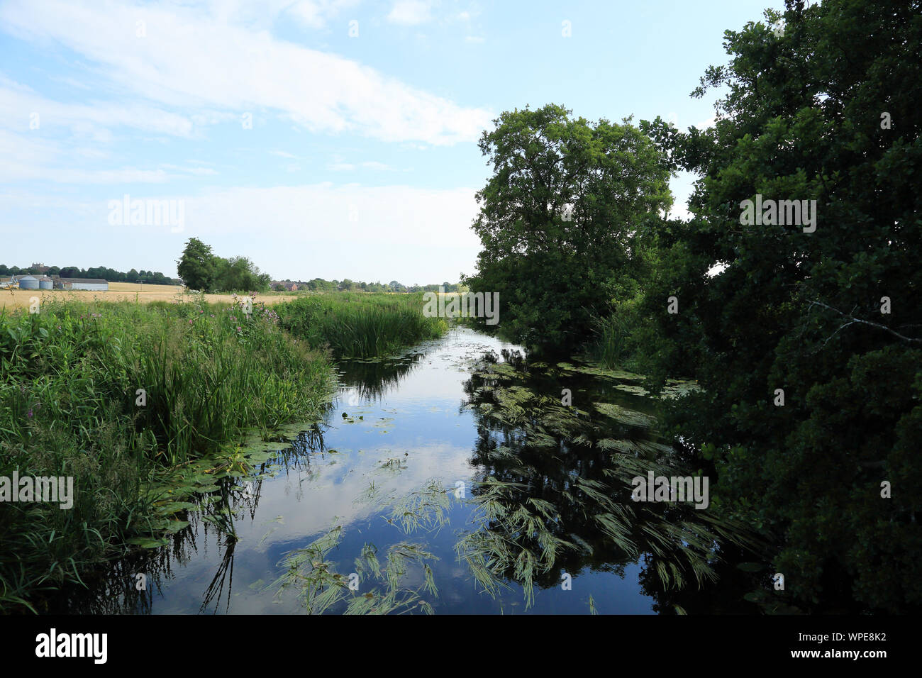 The River Stour to the east of Wye, Kent, England, United Kingdom Stock ...
